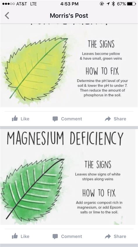 Image result for NPK Explained