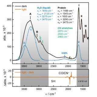 Image result for Absorbance Spectroscopy