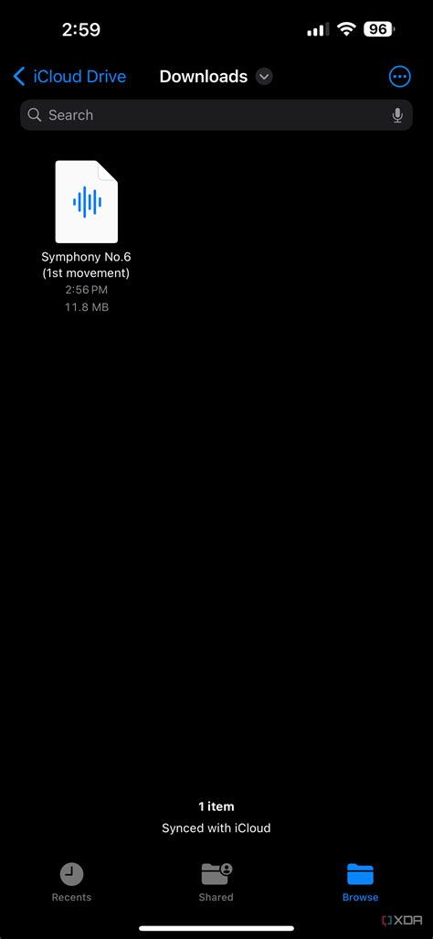 Image result for iPhone File Download