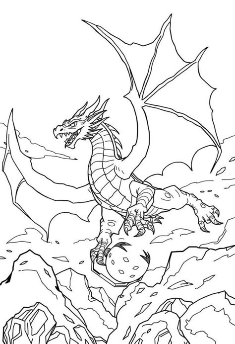 Image result for Timberjack Dragon Coloring