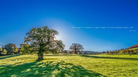 Image result for Waste No Time Rae