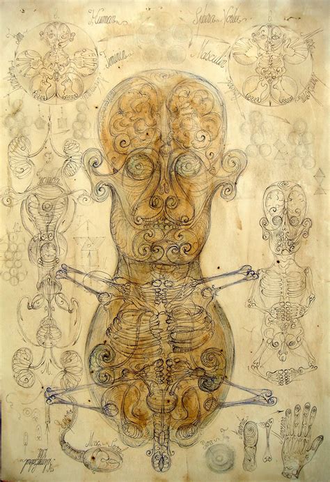 Image result for Vortex Theory