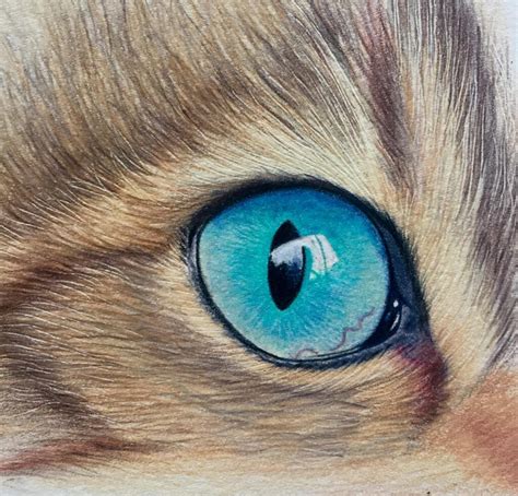Derwent Chromaflow Cats Eye Tutorial | Archelle Art