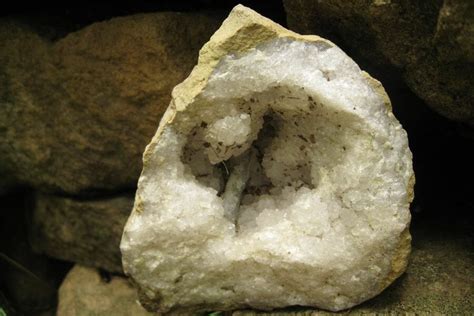Image result for Real Geodes