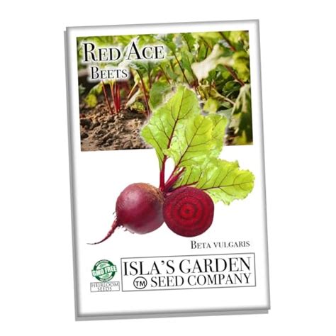 Image result for Beet Varieties for Containers