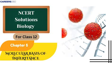 Image result for Chapter 5 Bio Class 12 Questions