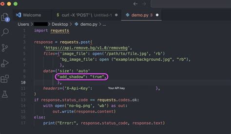 Image result for Customize API