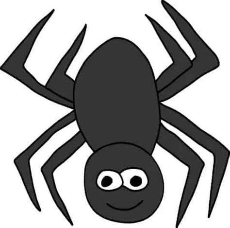 Image result for Basic Spider Drawing