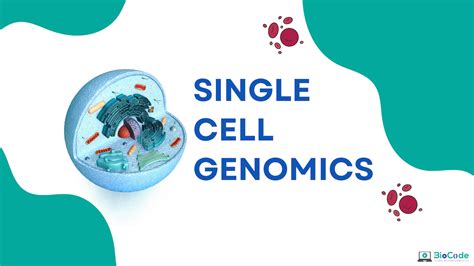 Image result for Single Cell Genomics