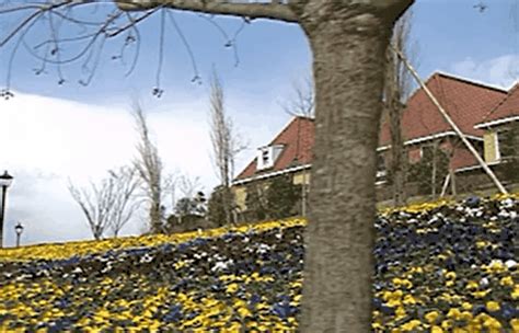 Image result for Optical Flow Applications