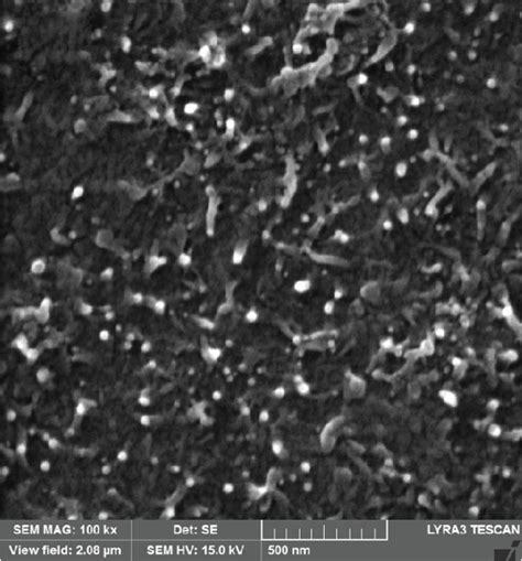 Image result for Cnt Masterbatch