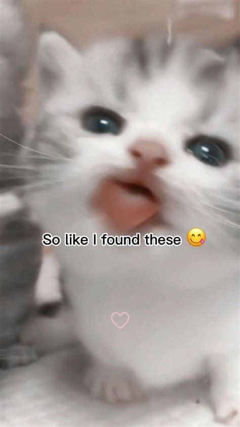 Image result for Scamming Matching Pfps