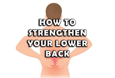 Image result for Strong Lower Back Muscles
