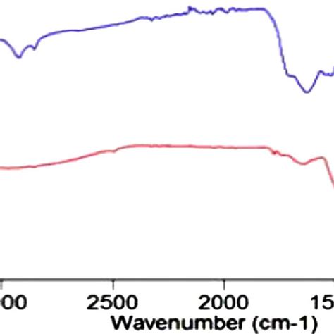 Image result for Humic Acid Sem
