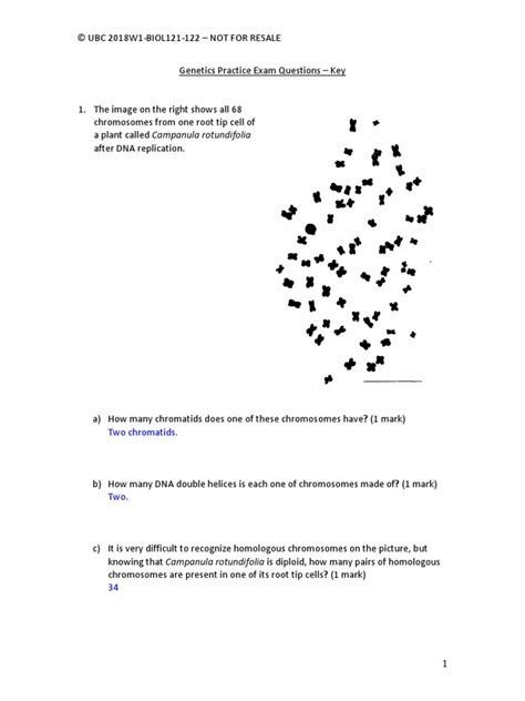 Image result for Genetics Questions and Answers