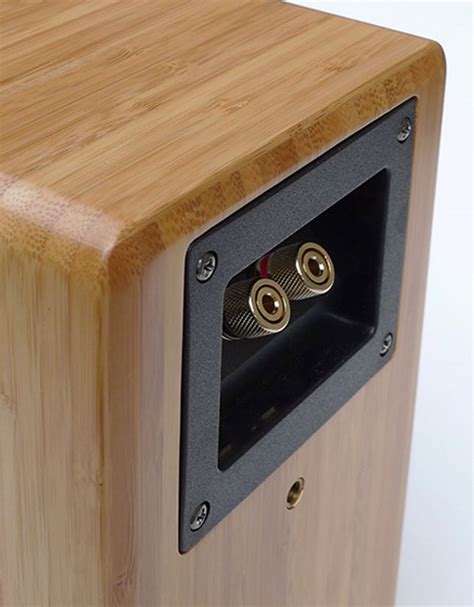 Image result for Audioengine P4