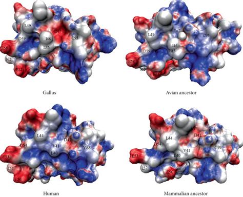 Image result for Node Mod 1