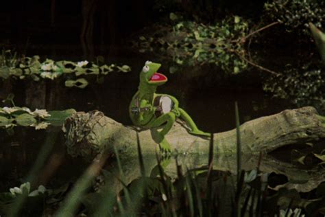 Image result for Muppet Movie Rainbow Connection