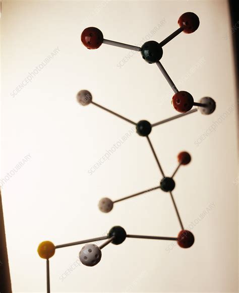 Image result for Molecular Science Model