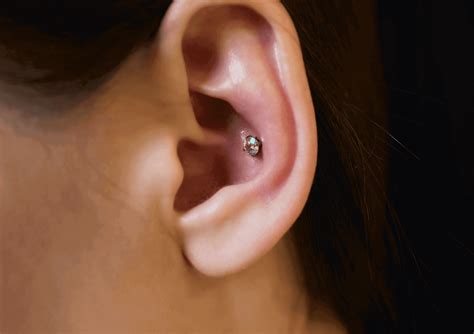 Image result for Conch Piercing
