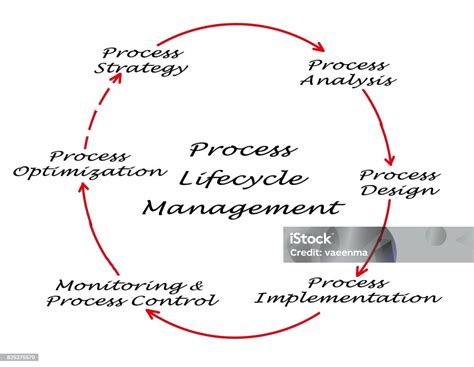 Image result for Lifecycle Management Process