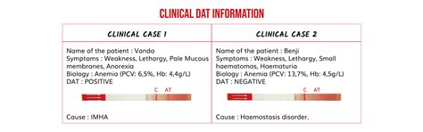 Image result for Block Recognition Test Dat