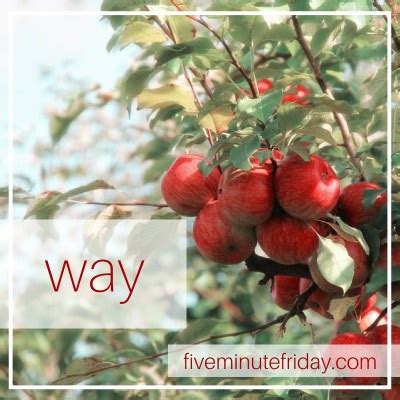 Image result for Our First Three FMF Way