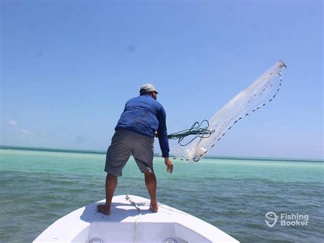 Image result for Reef Fishing Tips