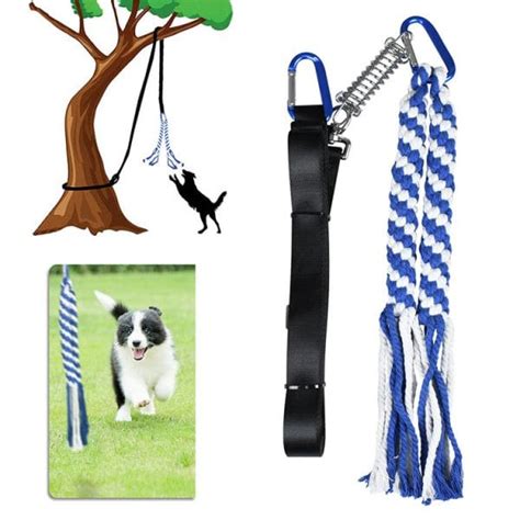 Image result for Dog Spring Pole