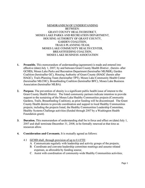 Image result for Memorandum of Understanding Examples