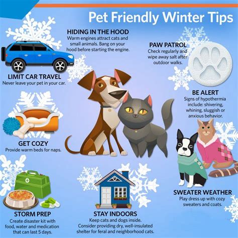Image result for Cold Weather Safety Tips