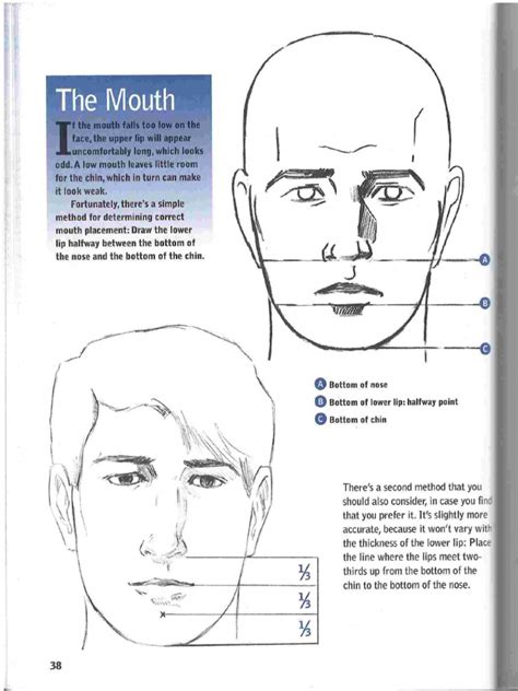 Image result for Proportion Drawing