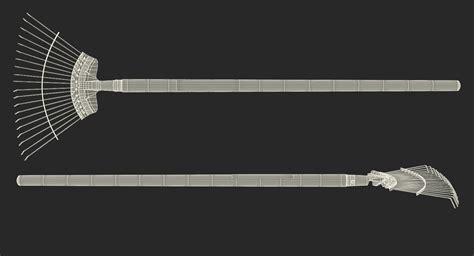 Image result for Springbok Rake