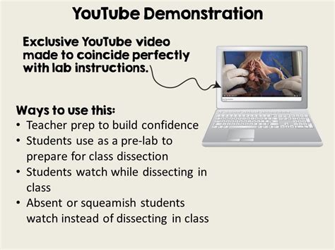 Image result for Fetal Pig Dissection Tutorial