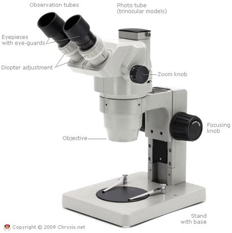 Image result for Stereo Microscope Magnification