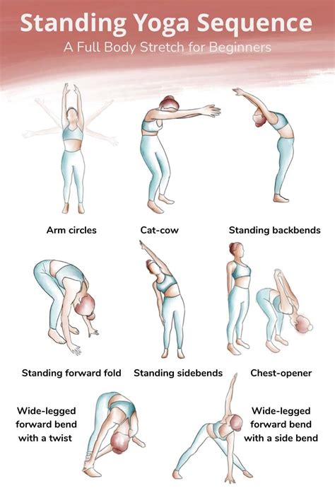 Image result for Exercise Positions