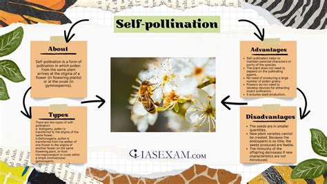 Image result for Examples of Self Pollination