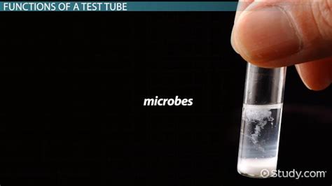 Image result for Tube Test Procedure