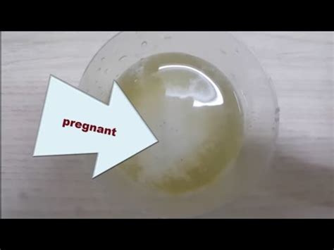 Image result for Pregnancy Test Using Salt Images