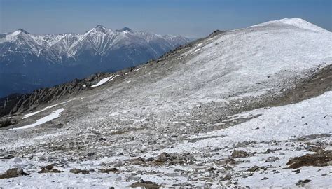 Image result for Snow Leopard Predation