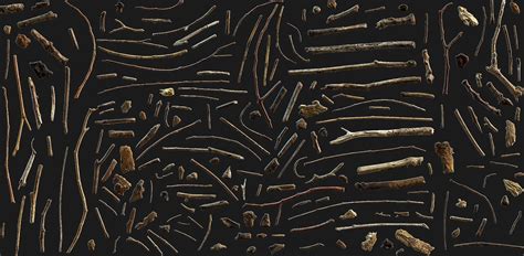 Image result for Quixel Megascans Objects