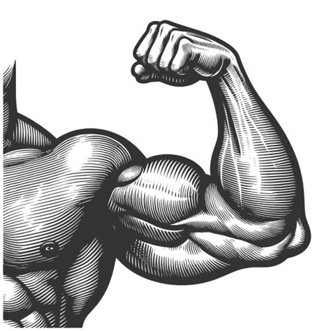 Image result for Strong Arm Vector