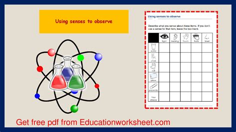 Image result for Observation Practice