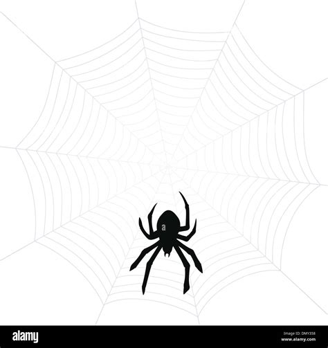 Image result for Spider Web Vector