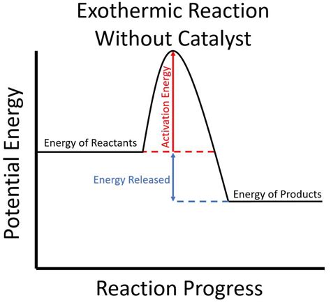 Image result for Exothermic Reaction Energy Graph