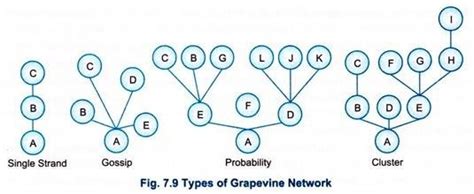 Image result for Probability Chain in Grapevine Communication