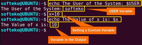 Image result for Echo Unix