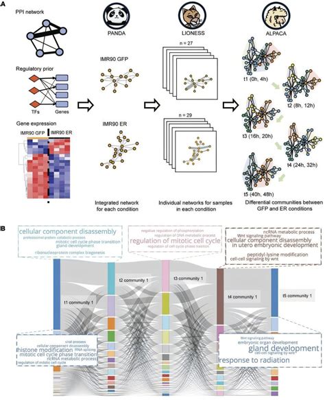 Image result for Pinworm Skin
