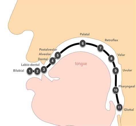 Image result for IPA Language Chart