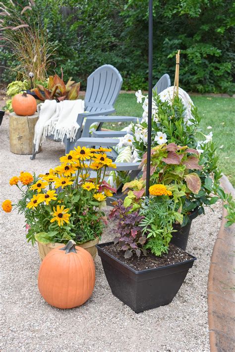 Image result for Fall Patio Decorating